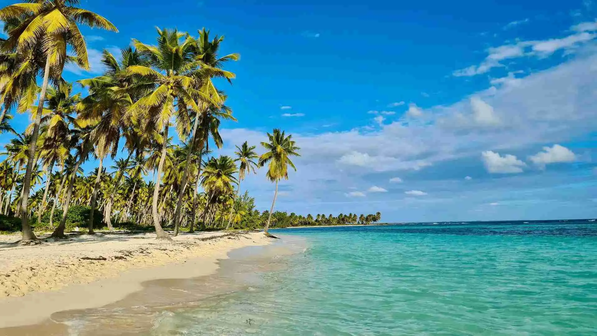 Isla Saona: Dónde queda y Cómo llegar | Let's Go RD